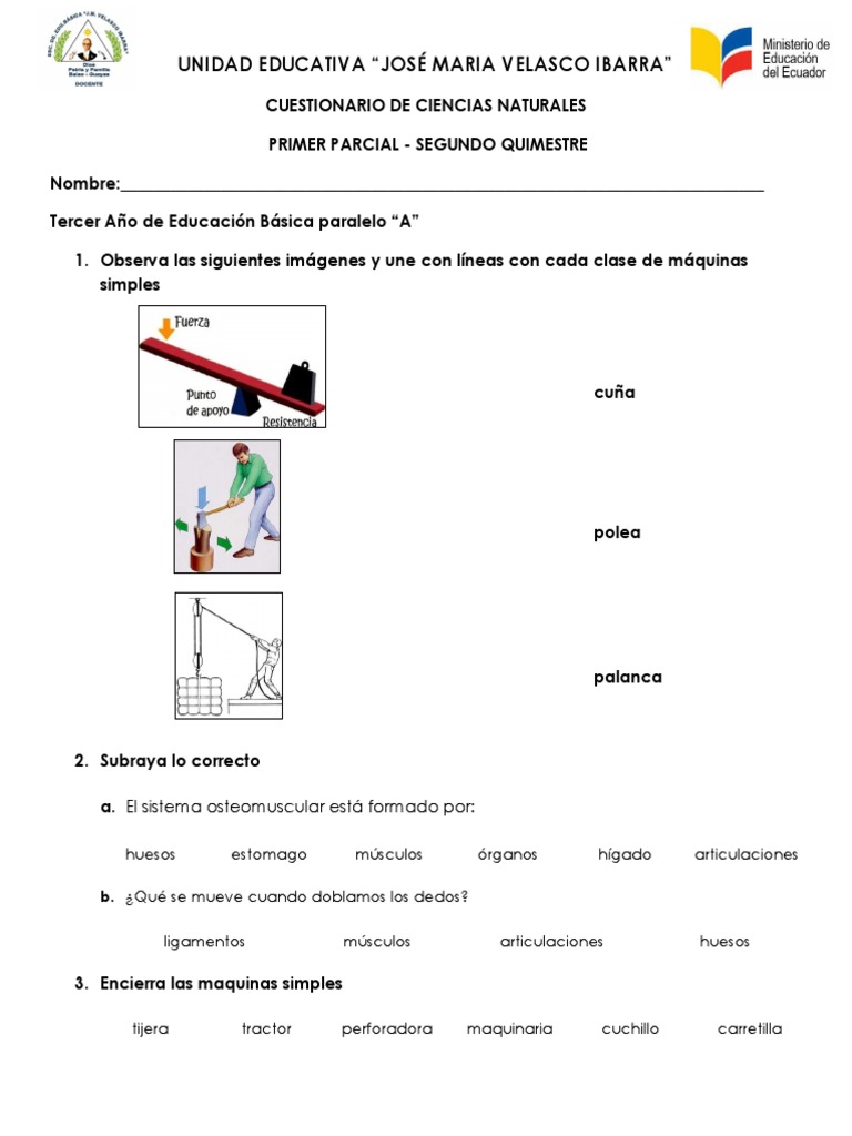 Prueba De Práctica De Ciencias De Cuarto Grado