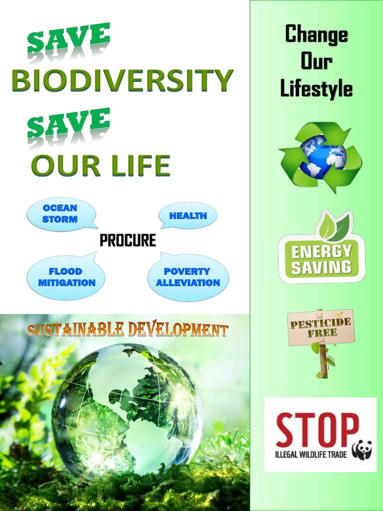 Biodiversity Poster | PDF