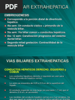Maniobras y Signos de La Apendicitis | PDF | Gastroenterología | Medicina