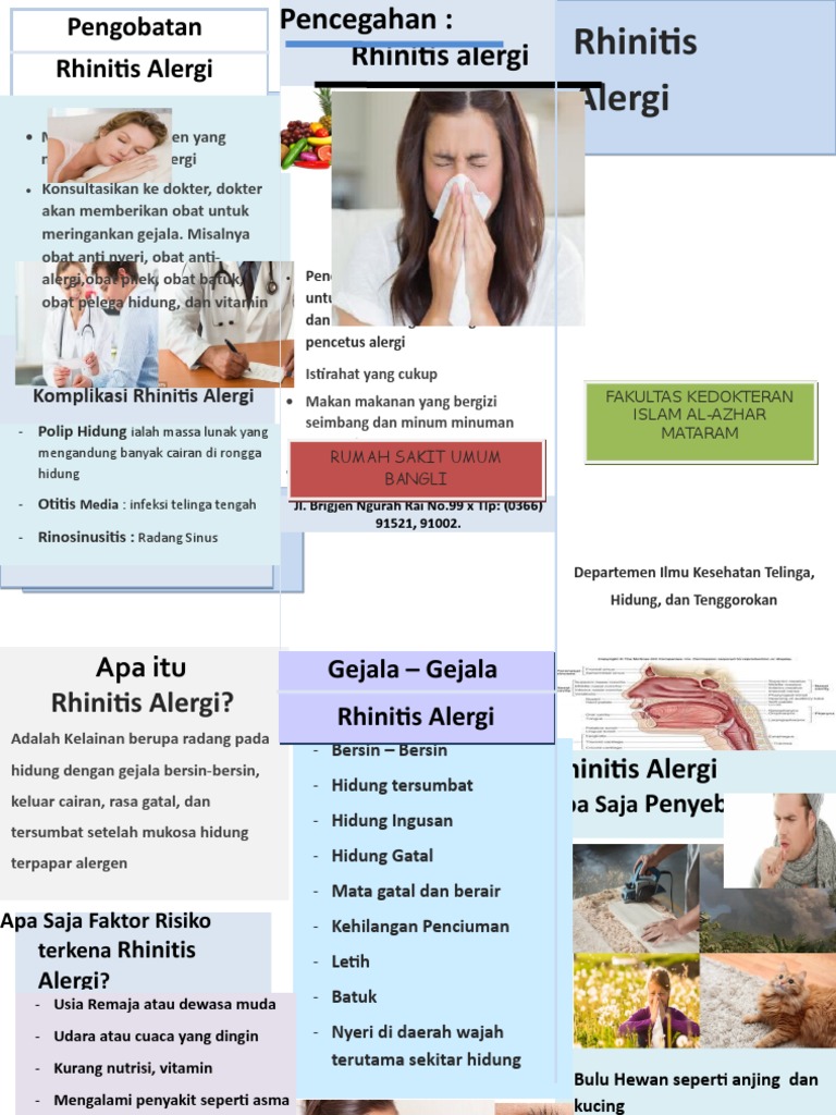 Leaflet Penyuluhan Rhinitis-Alergi | PDF