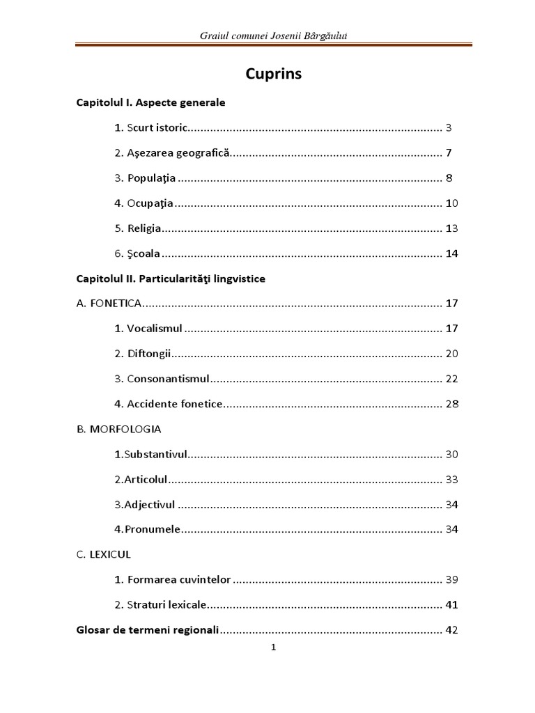Disertatie Corectat 6 Iulie | PDF
