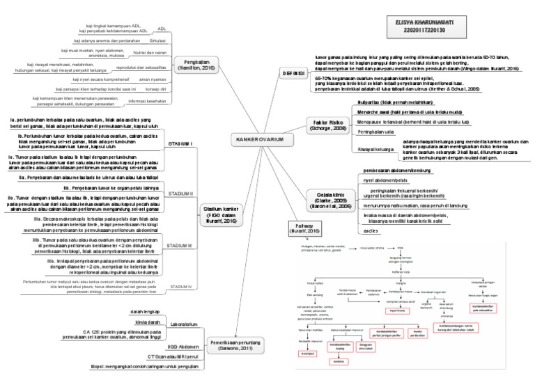 LP CA Ovarium | PDF