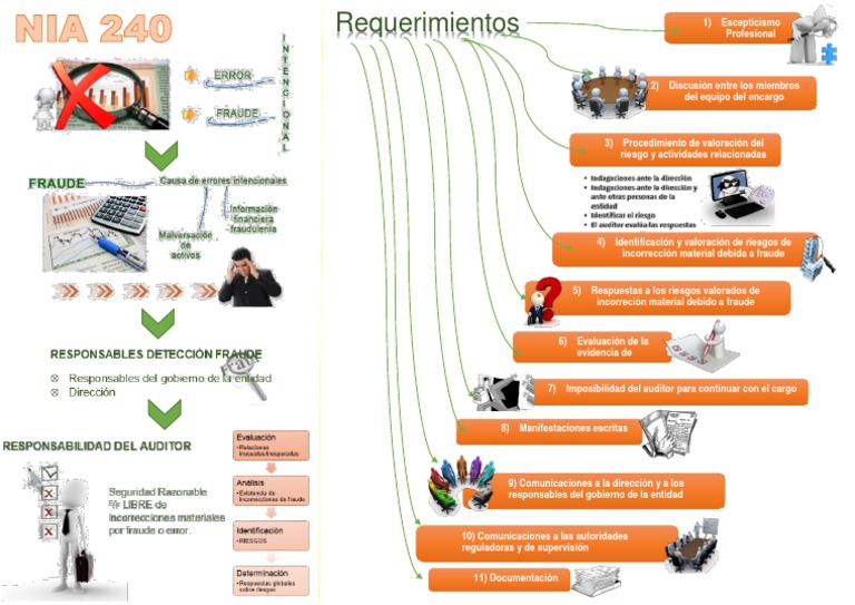 Infografia Nia 240 | PDF