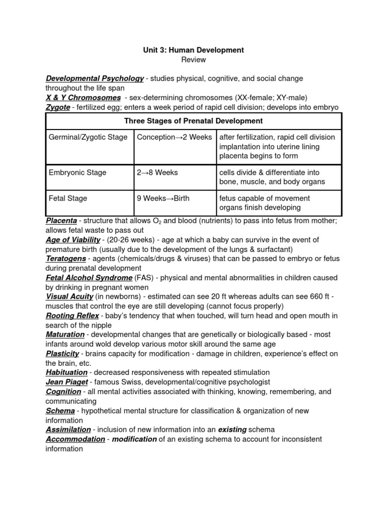 Human Development Overview: Stages & Theories | PDF | Prenatal ...