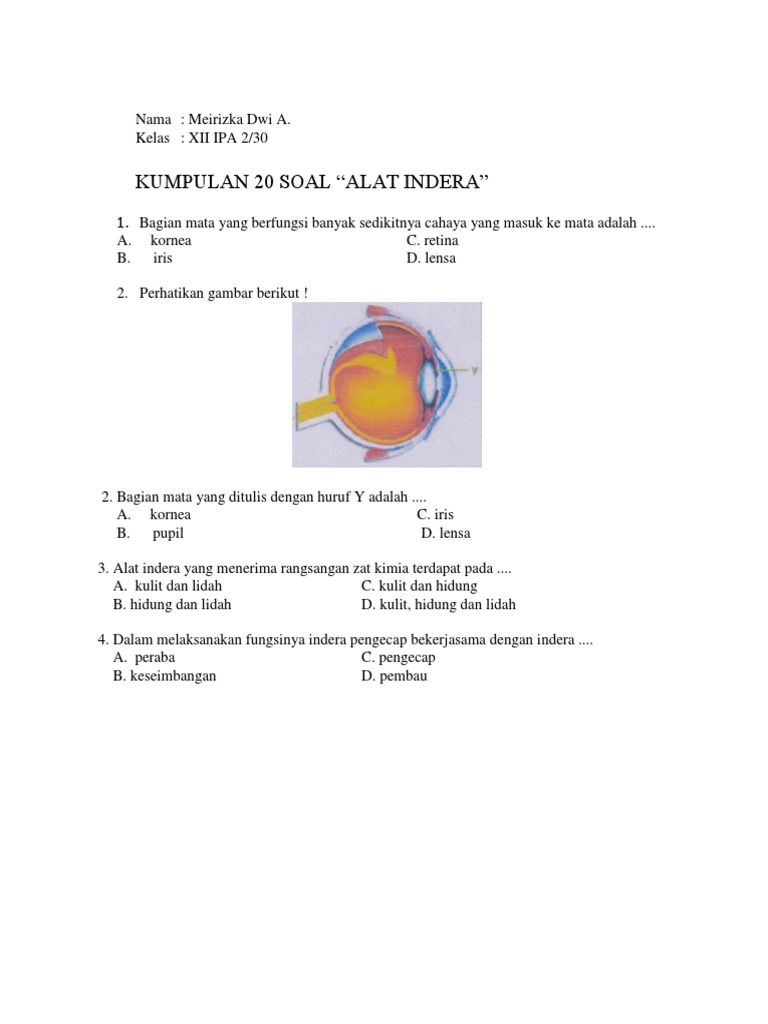 Kumpulan Soal Bio Alat Indera | PDF