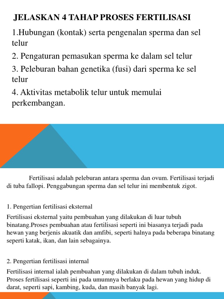 4 Tahap Proses Fertilisasi | PDF | Sains & Matematika