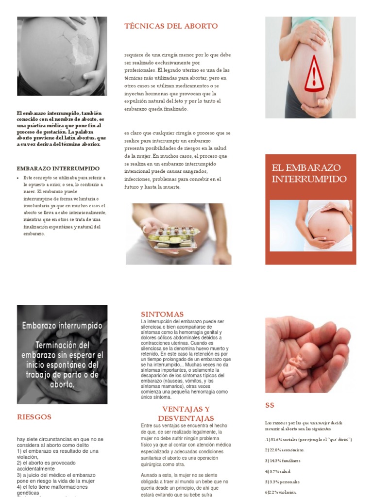 El Embarazo Interrumpido | PDF | El embarazo | Aborto