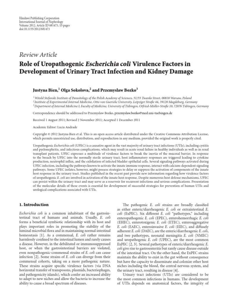 Review Article: Role of Uropathogenic Virulence Factors in Development ...