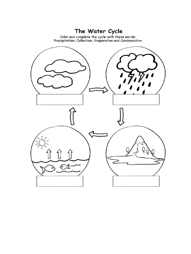 The Water Cycle Worksheet | PDF
