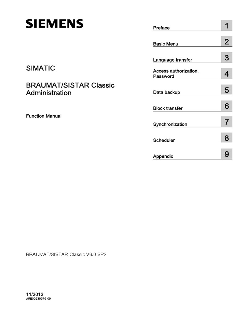 BRAUMAT-SISTAR Classic Administration (Function Manual) | PDF | Password | Digital Technology
