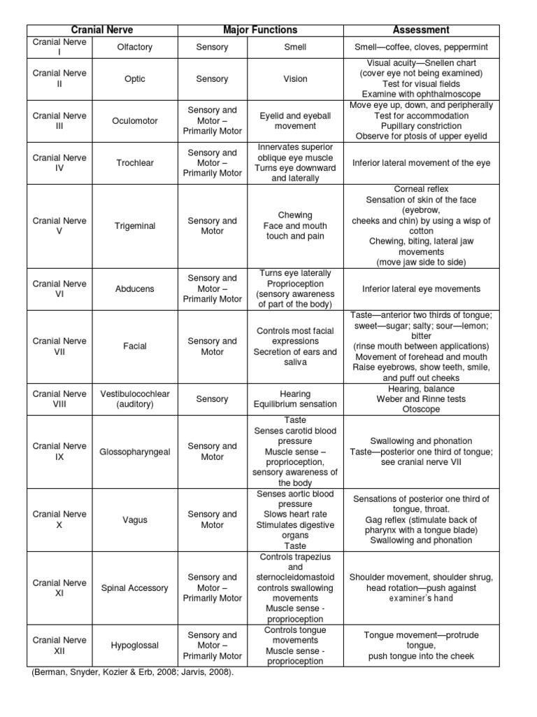 Cranial Nerve Chart | Organ (Anatomy) | Nervous System | Free 30-day ...