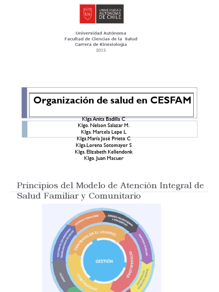 Organizaciòn de Los Cesfam | Interdisciplinariedad | Atención