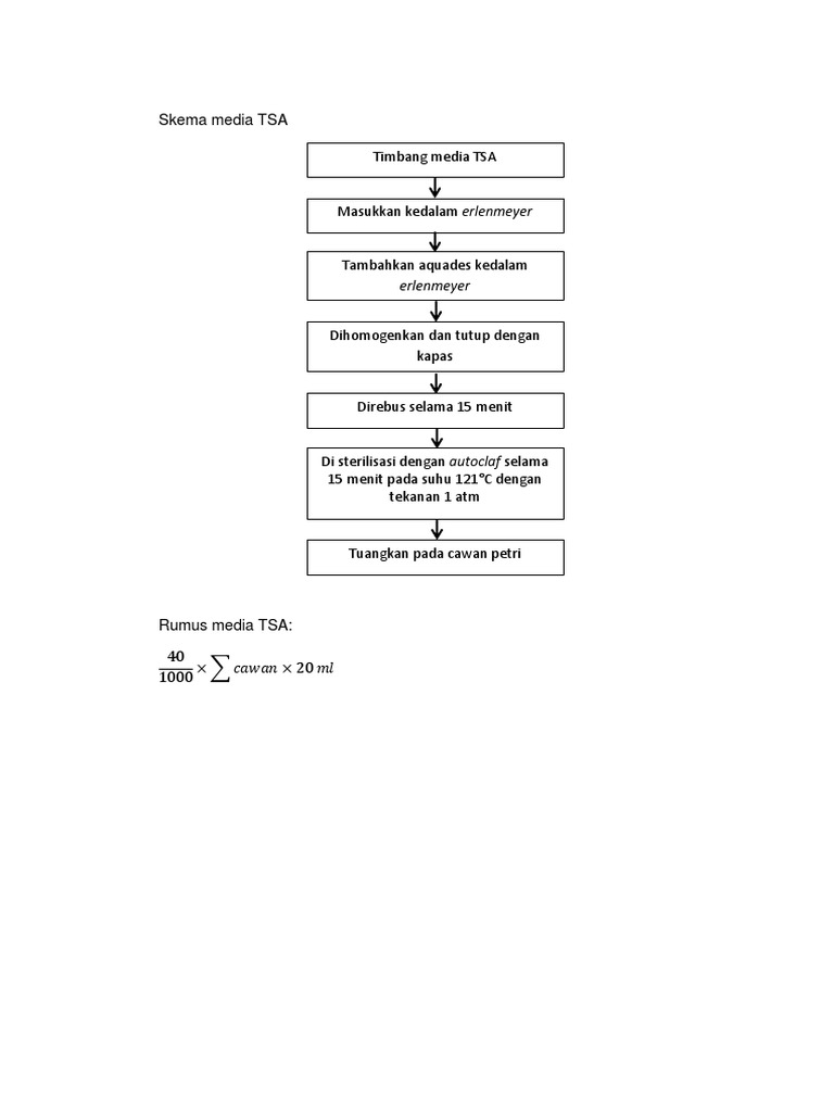 Skema Media TSA & TSB | PDF