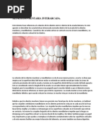 Oclusion Fosa Cuspide | PDF | Anatomia dental | Diente