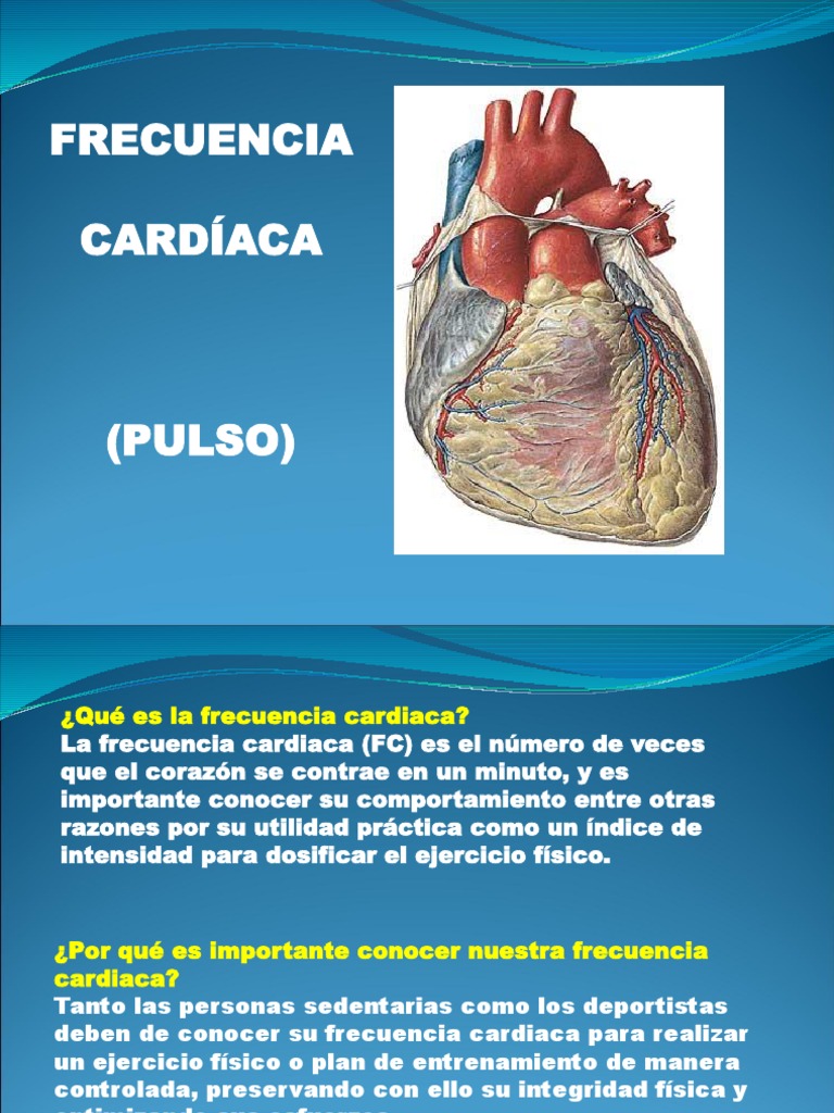 frecuencia-cardiaca-pulso