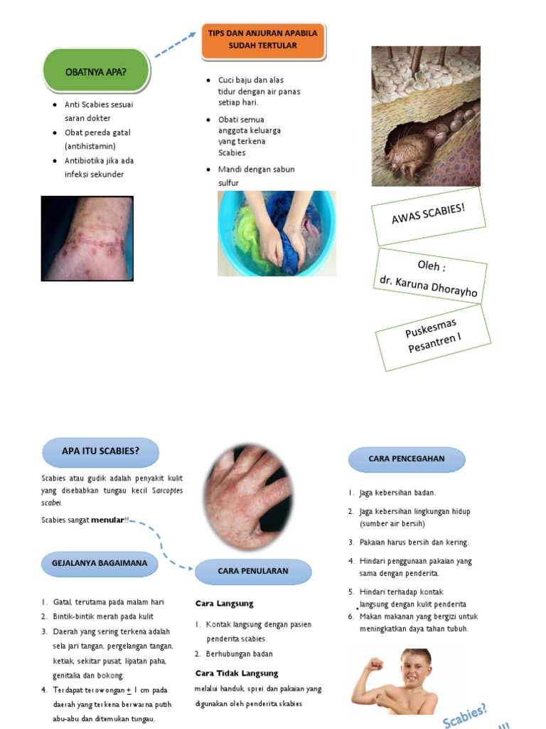 Leaflet Scabies | PDF | Kesehatan Holistik