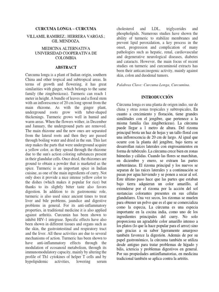 Curcuma Longa | PDF | Turmeric | Curry