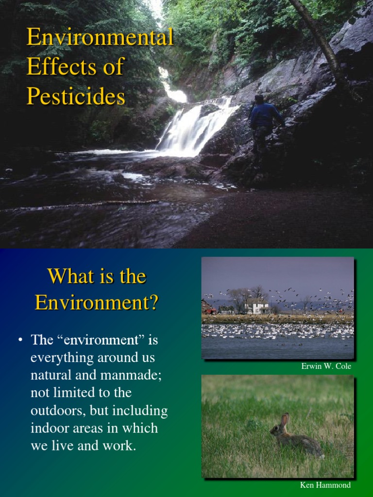 Environmental Effects of Pesticides | PDF | Soil | Insecticide