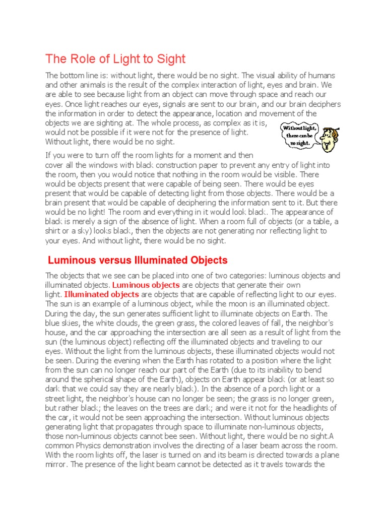 Understanding Light's Role in Vision | PDF | Reflection (Physics) | Mirror