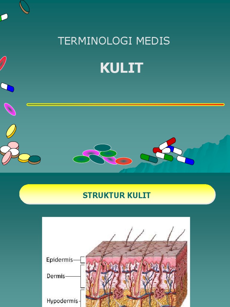 Kulit Edit | PDF