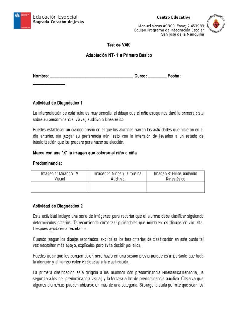 Test de Vak Pre Basica y Primero Basico | PDF | Aprendizaje | Cognición