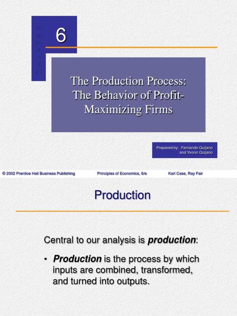 The Production Process: The Behavior of Profit-Maximizing Firms | PDF ...