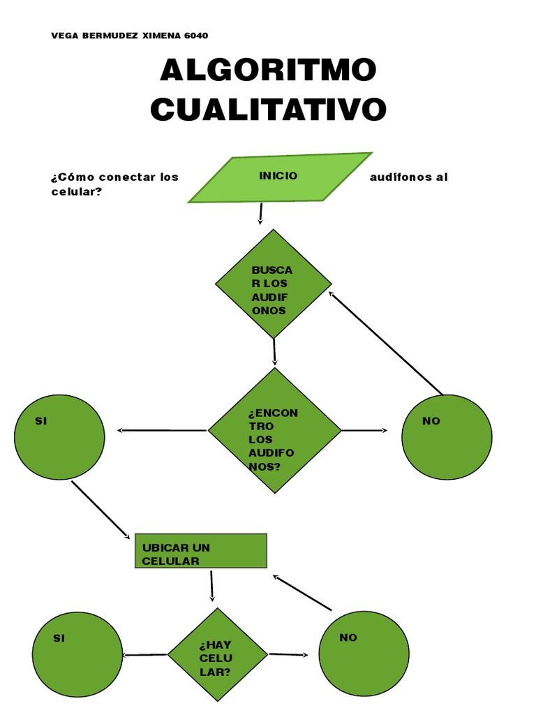 Algoritmo Cualitativo | PDF