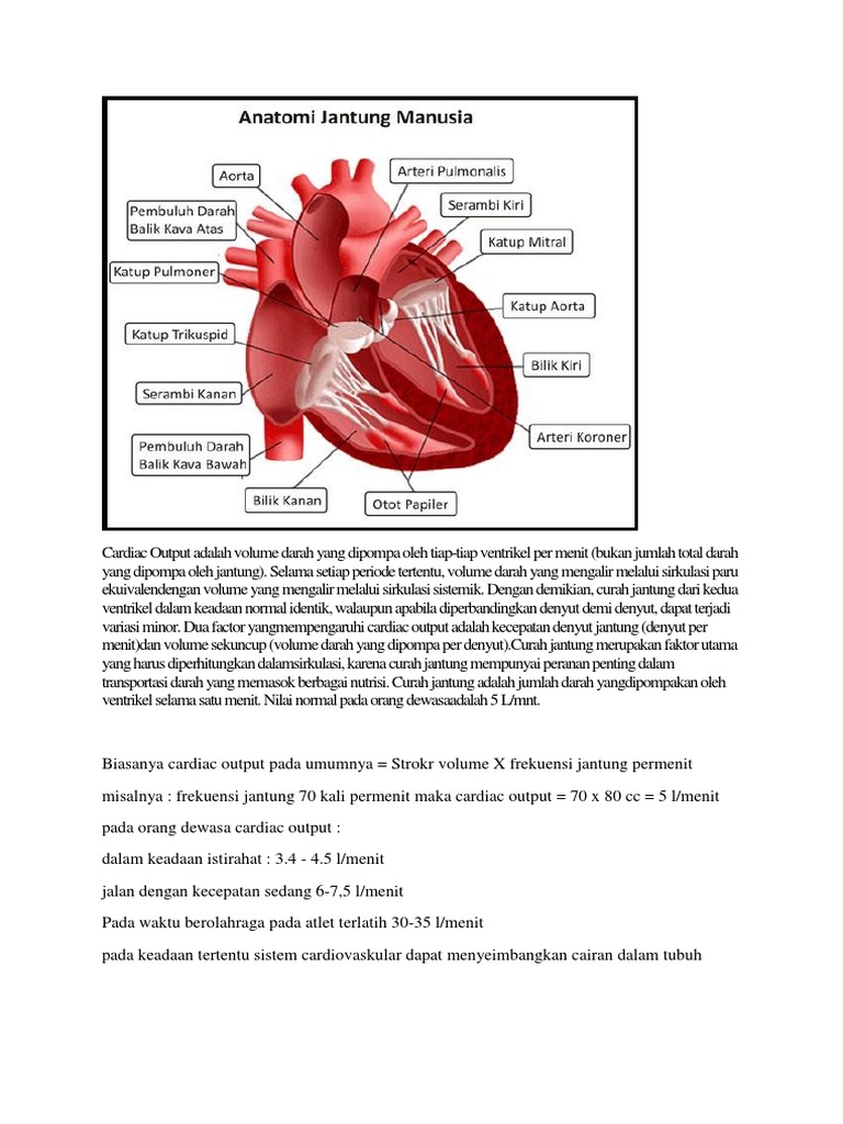 Cardiac Output Adalah Volume Darah Yang Dipompa Oleh Tiap | PDF