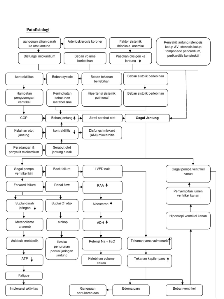 Patofisiologi Patway Gagal Jantung | PDF