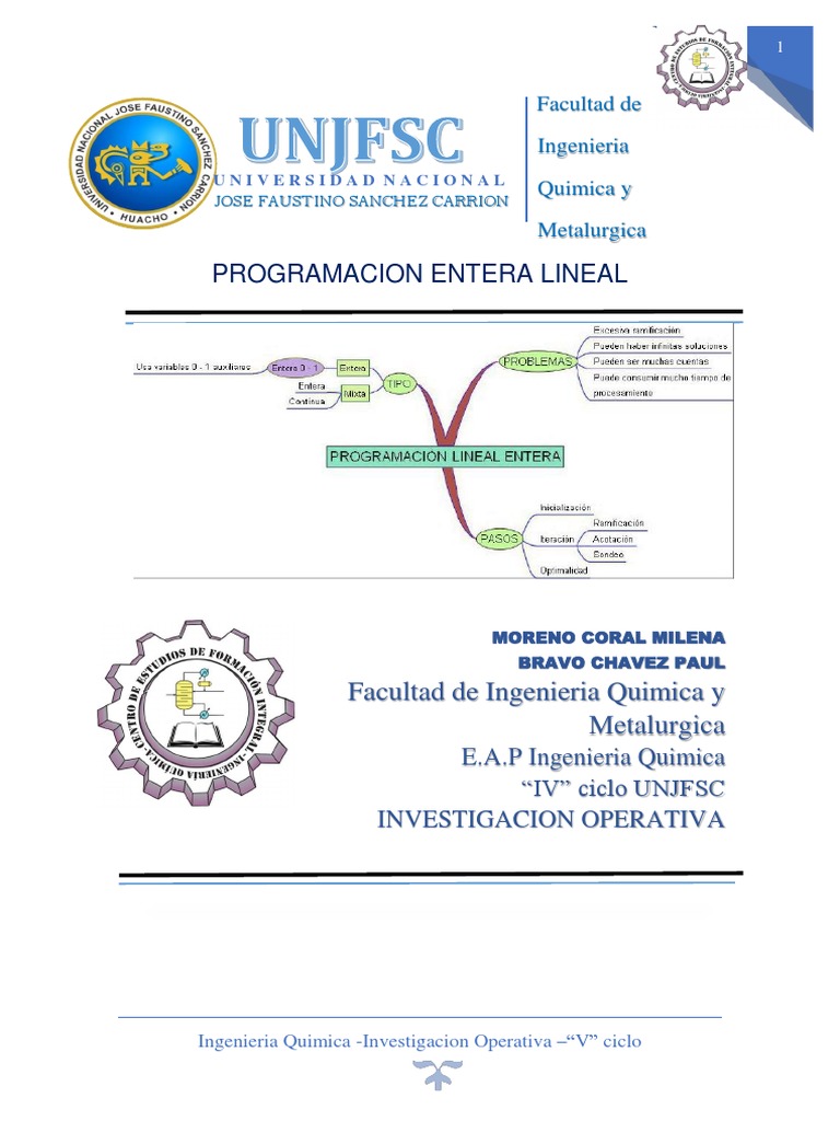 Programación Lineal Entera | PDF | Programación lineal | Matemáticas ...