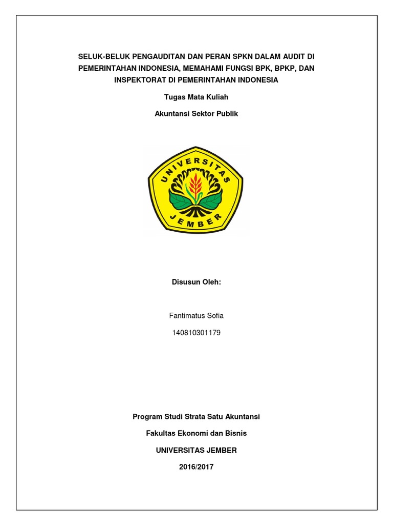 Seluk Beluk Pengauditan Dan Peran SPKN Dalam Audit Di Pemerintahan ...