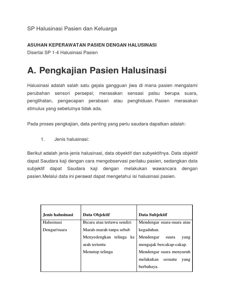 SP Halusinasi Pasien Dan Keluarga | PDF
