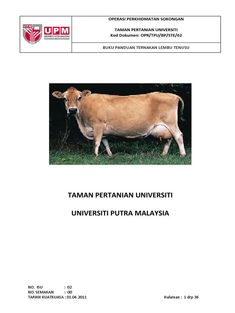 BP STE 02 Lembu Tenusu | PDF
