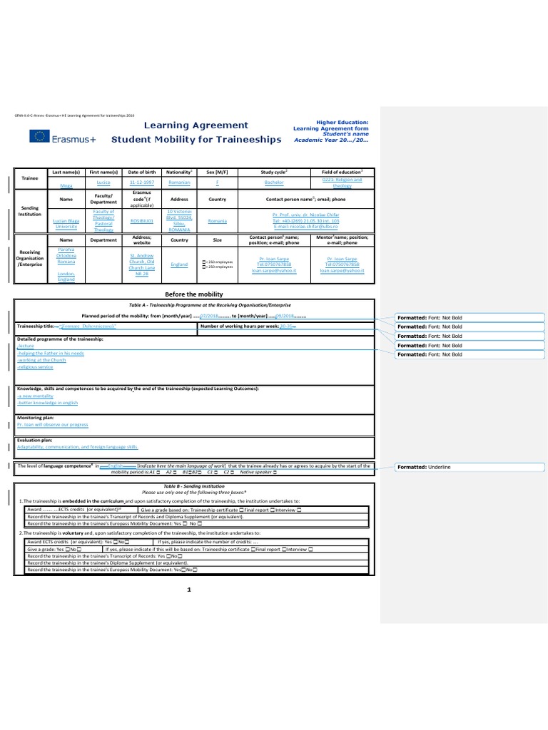 Learning Agreement Traineeships Form Nou 2016-2017-1 | PDF | Academic ...