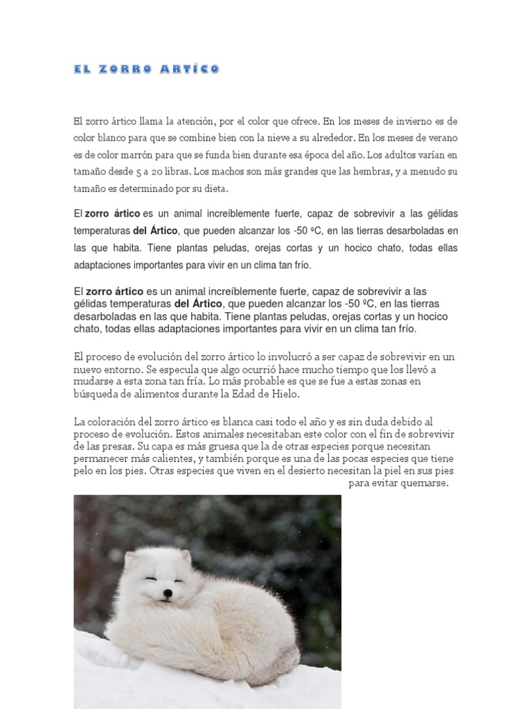 Adaptaciones y características del zorro ártico | PDF | Hogar ...