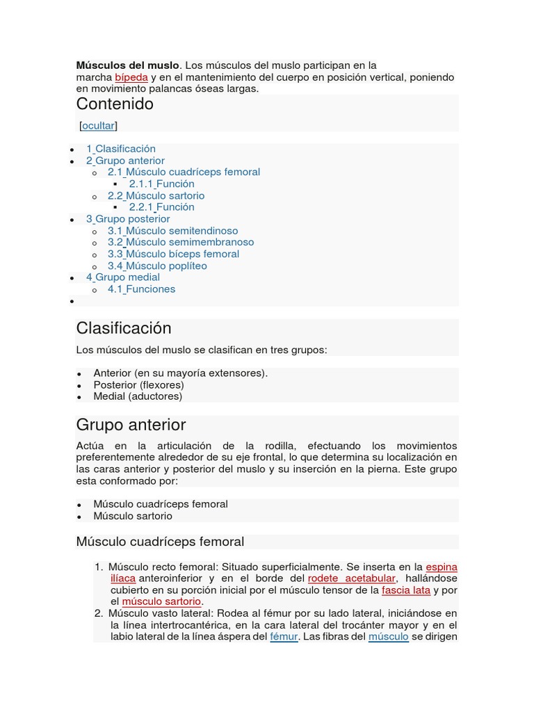 Músculos del muslo: clasificación y funciones | PDF | Anatomía del ...