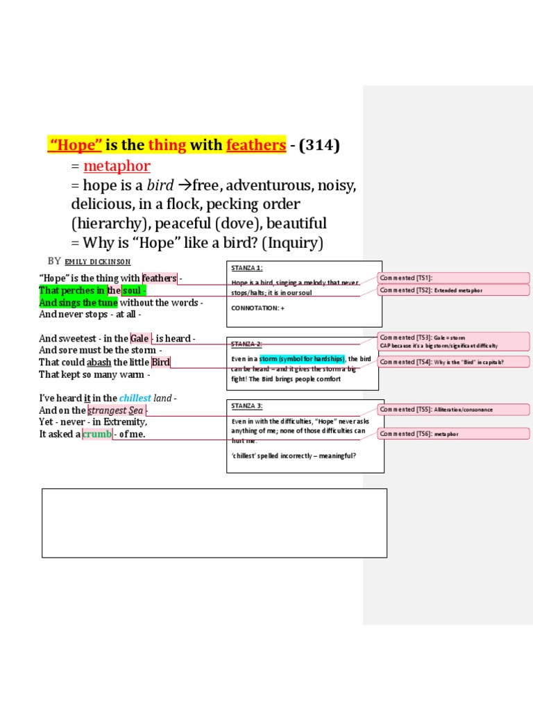 Annotations Hope Is The Thing With Feathers | PDF