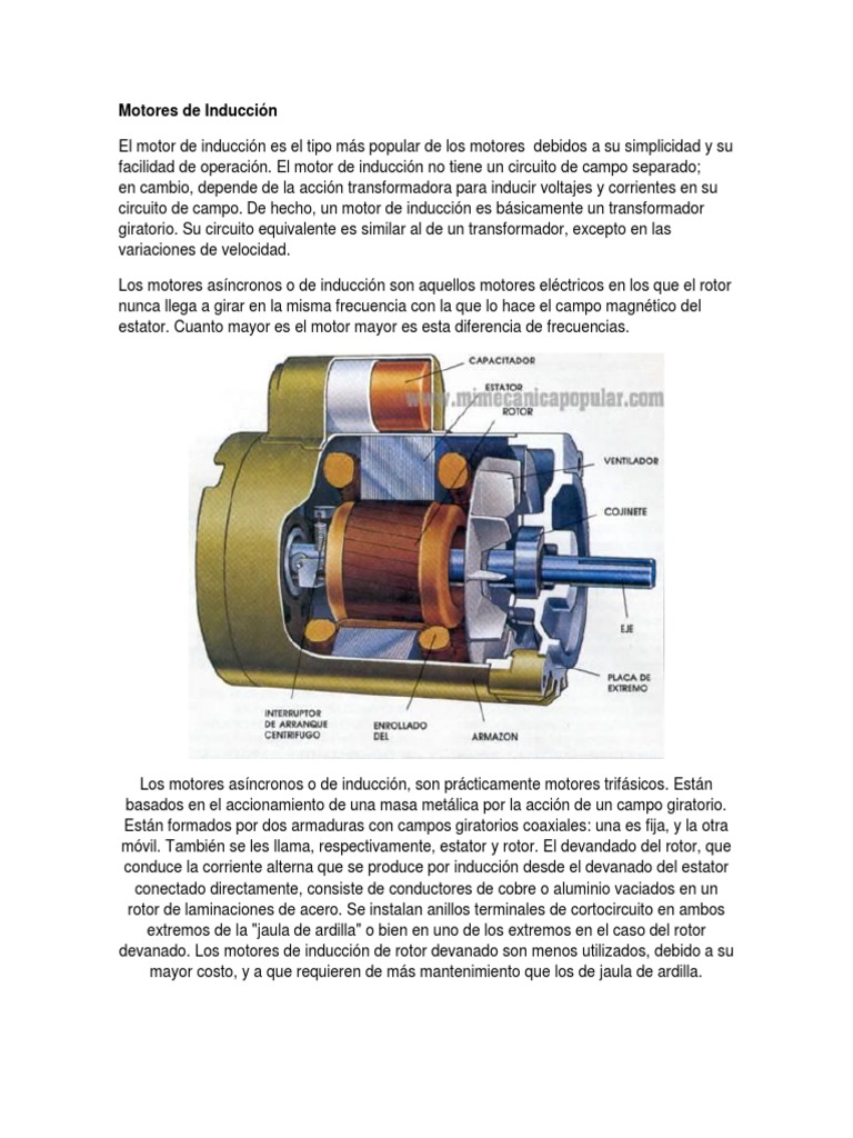 Motores de Inducción | PDF | Ingenieria Eléctrica | Electromagnetismo