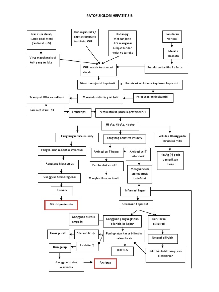 Patofis Hepatitis B | PDF