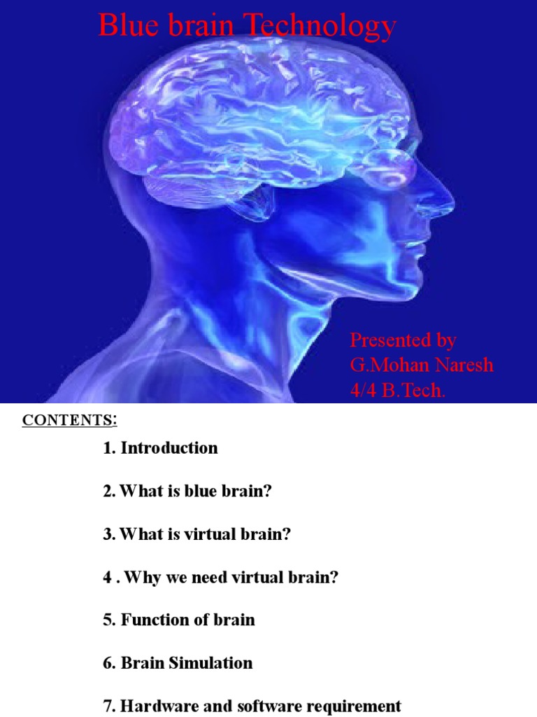 Blue Brain | PDF | Input/Output | Nervous System