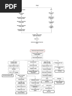Pathway Pneumonia | PDF