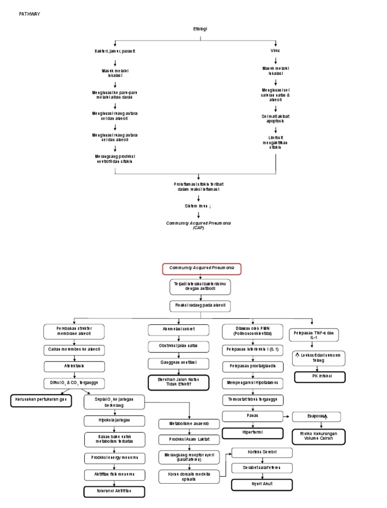 CAP Pathway and Etiology Overview | PDF