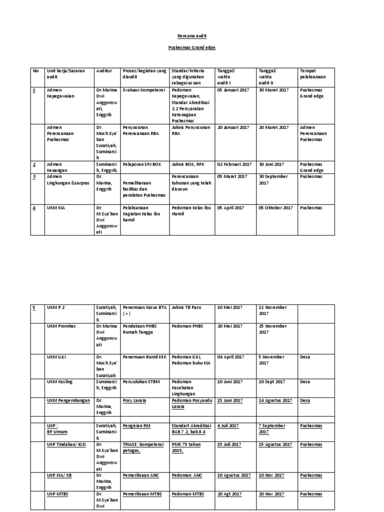 Contoh Audit Plan Dan Instrumen Audit | PDF