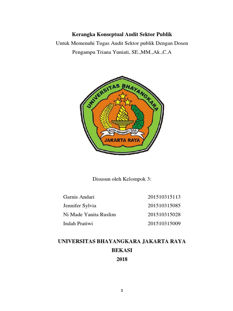 Kerangka Konseptual Audit Sektor Publik (Kelompok 3) | PDF