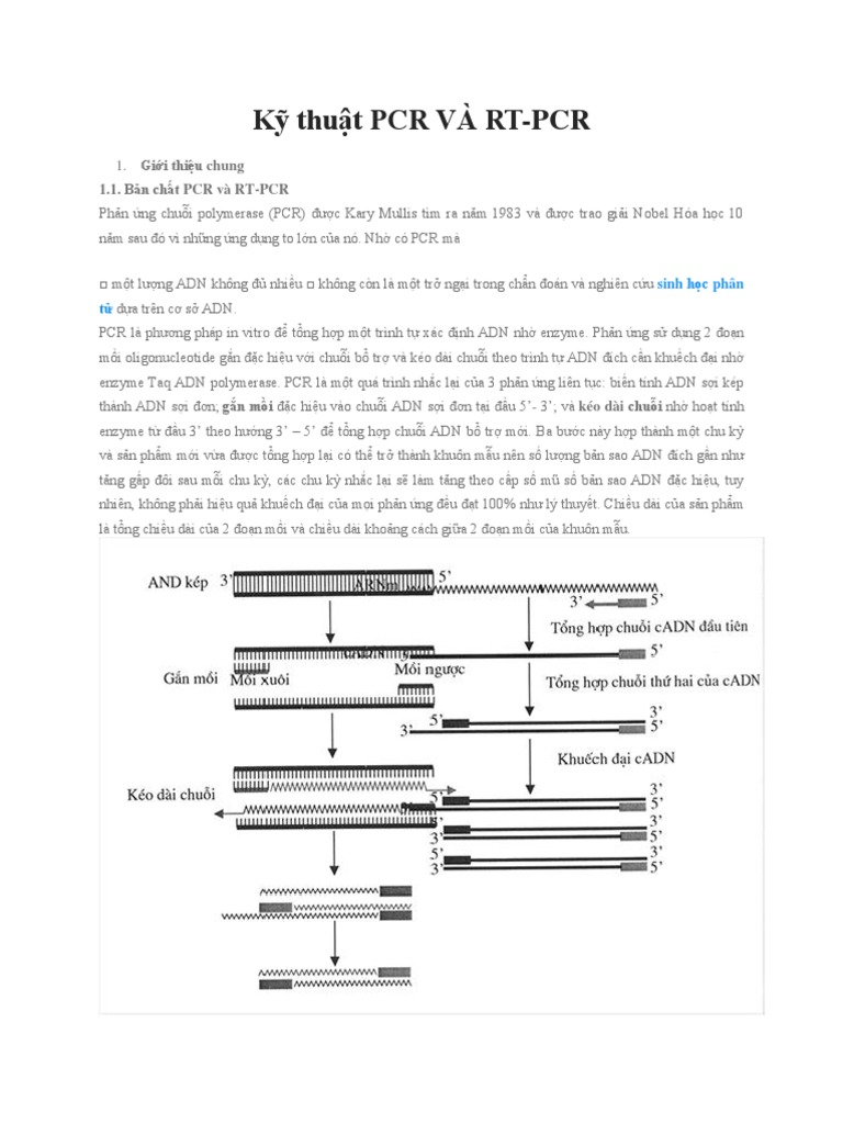 D - Images - File - Ky Thuat PCR Va RT PCR - 352 | PDF