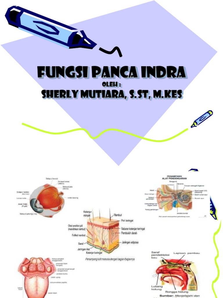 Fungsi Panca Indra | PDF