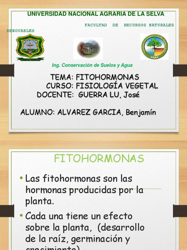 FitoHormonas: Clave en Fisiología Vegetal | PDF