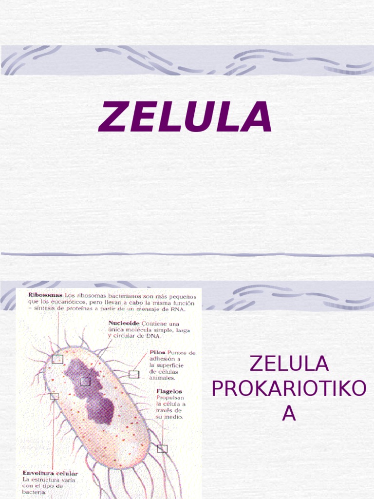 ZELULA | PDF