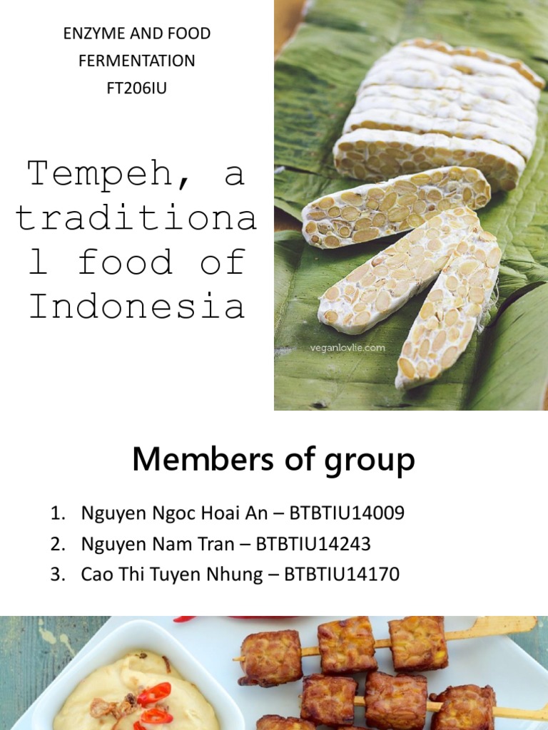 Tempeh, A Traditional Food of Indonesia | PDF