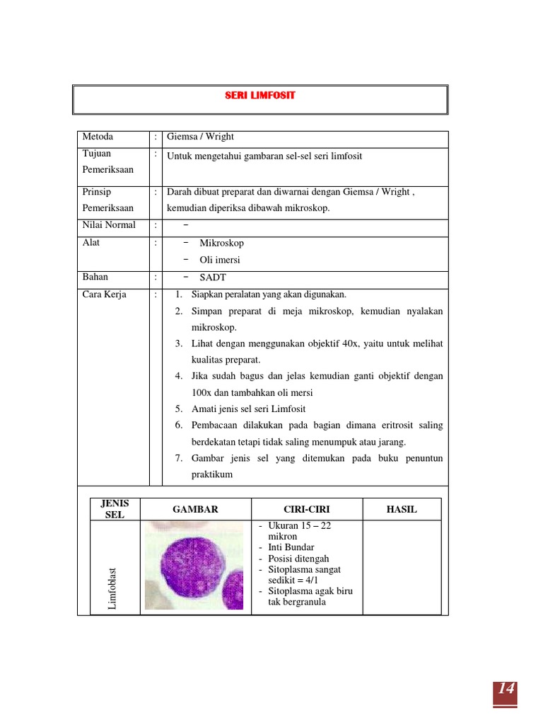 IK Seri Limfosit | PDF